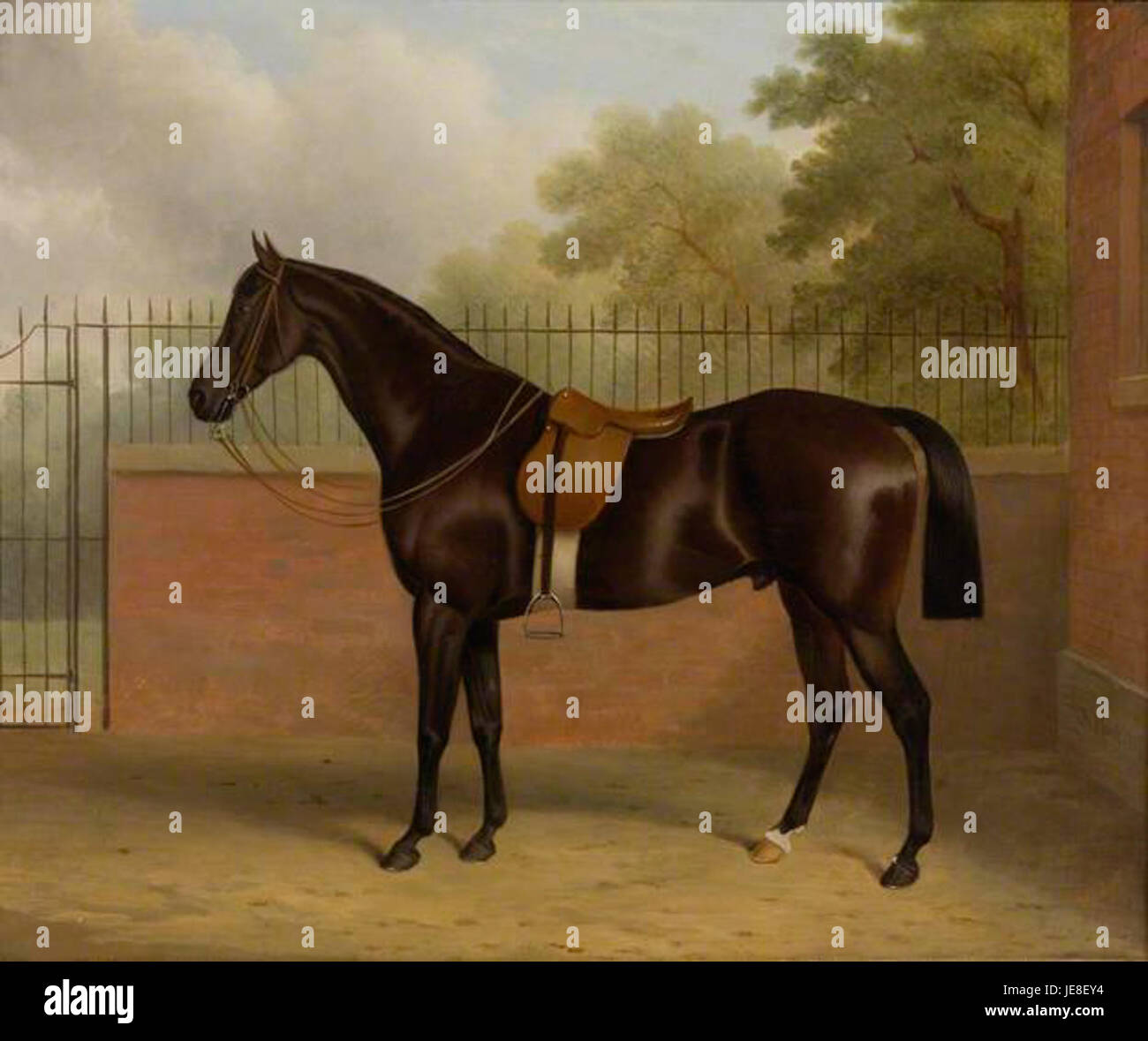 Bay Stallion by John Paul Stock Photo - Alamy