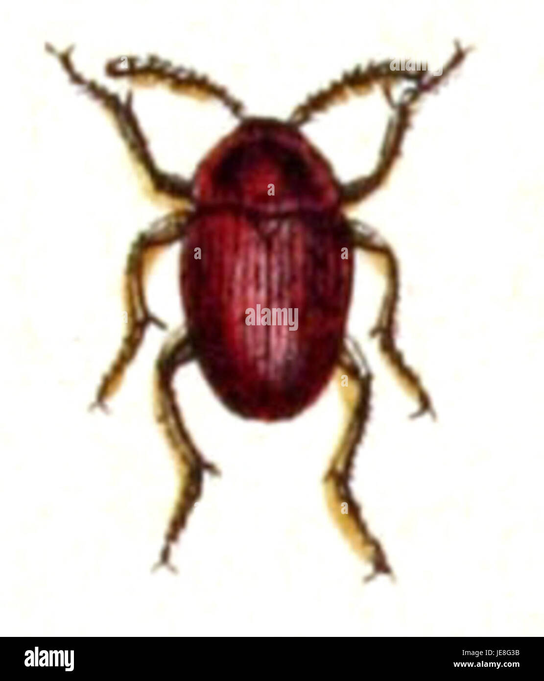 10 12 Cut Out Stock Images & Pictures - Alamy