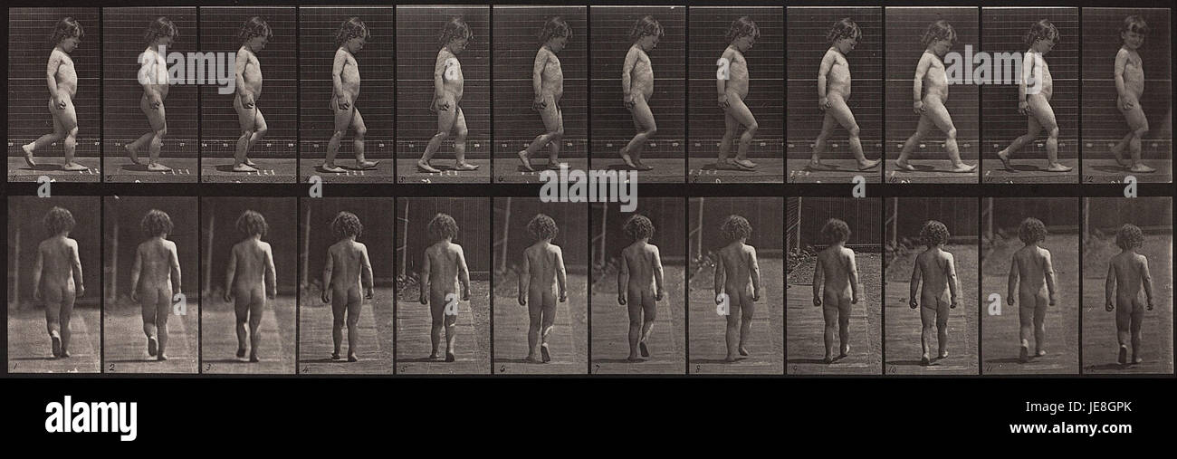 Eadweard Muybridge’s 'Animal Locomotion' series, Plate 467, captures a ...