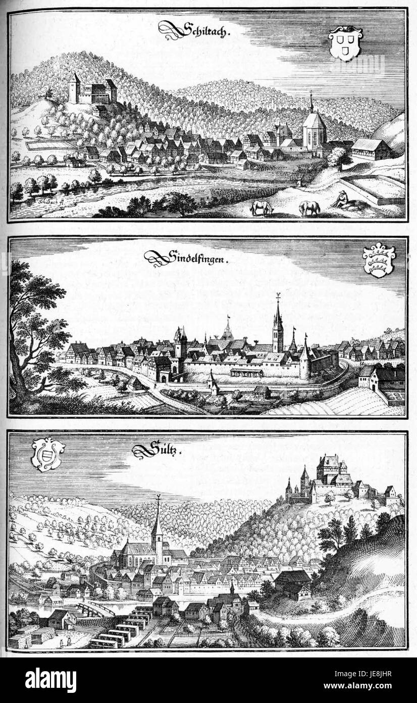 An excerpt from 'De Merian Sueviae,' a historical work focusing on the ...