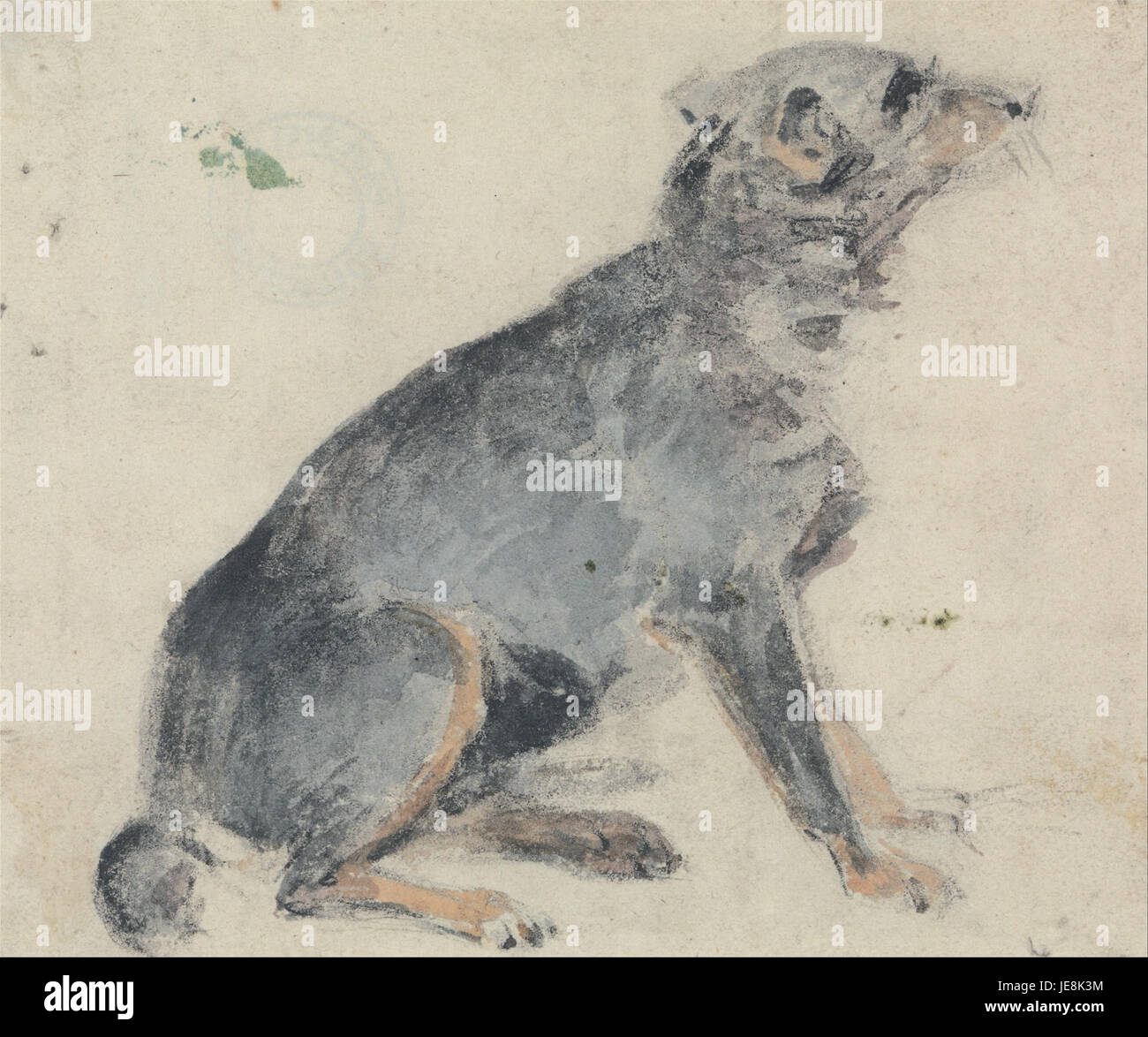 David Cox’s 'Study of a Dog' is a detailed drawing of a dog, showcasing ...