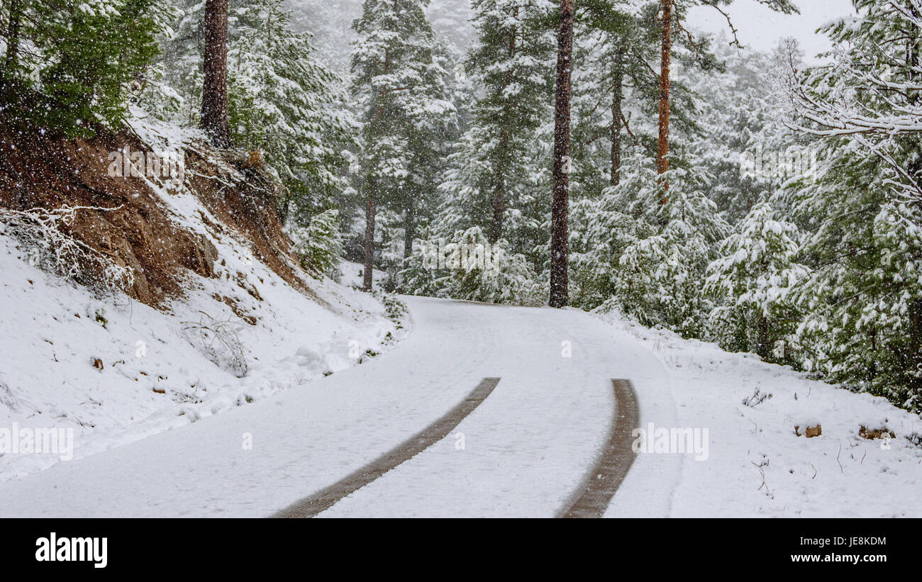Car marks hi-res stock photography and images - Alamy