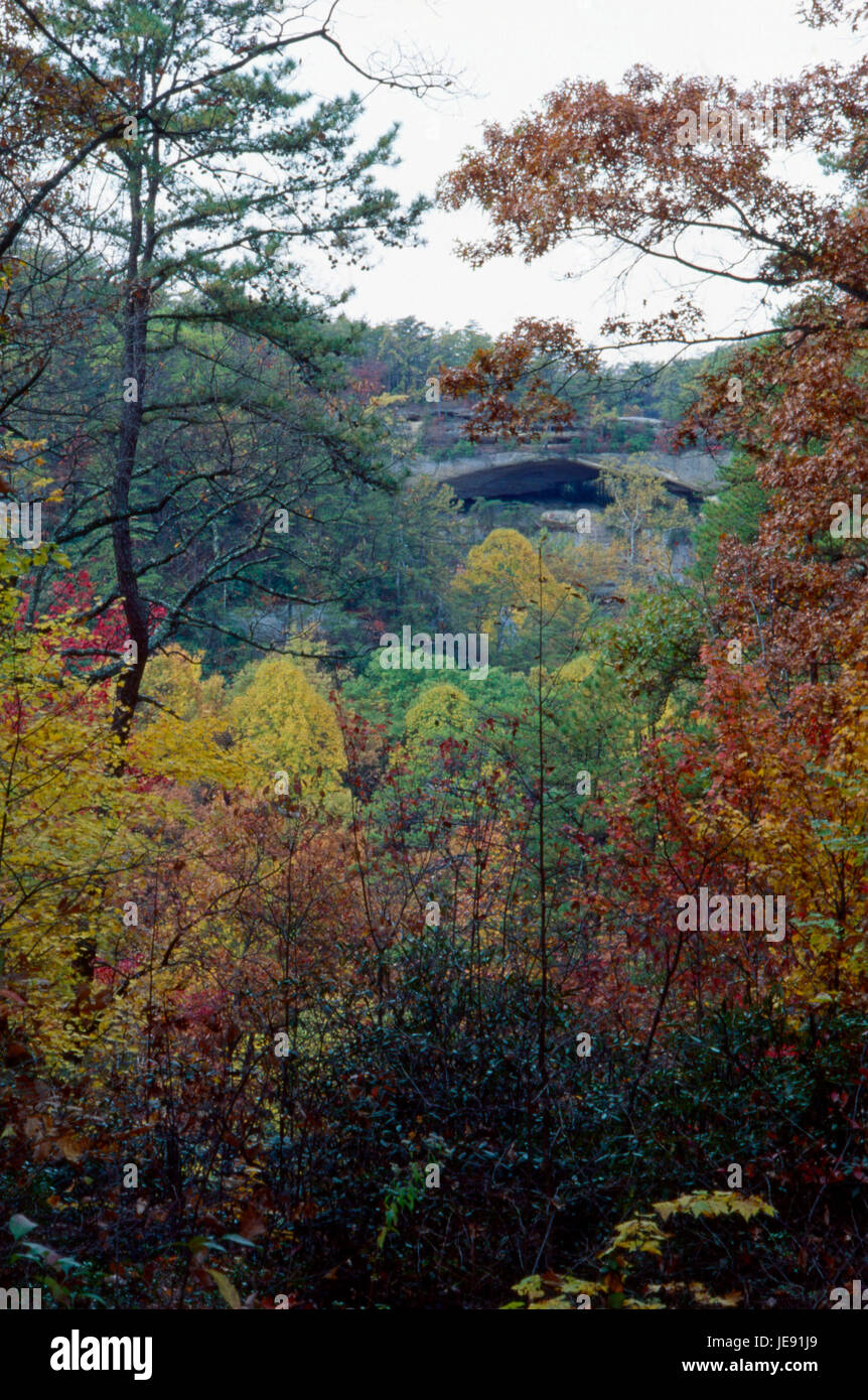 Natural Bridge State Park, Slade, Kentucky 10 09 Stock Photo - Alamy