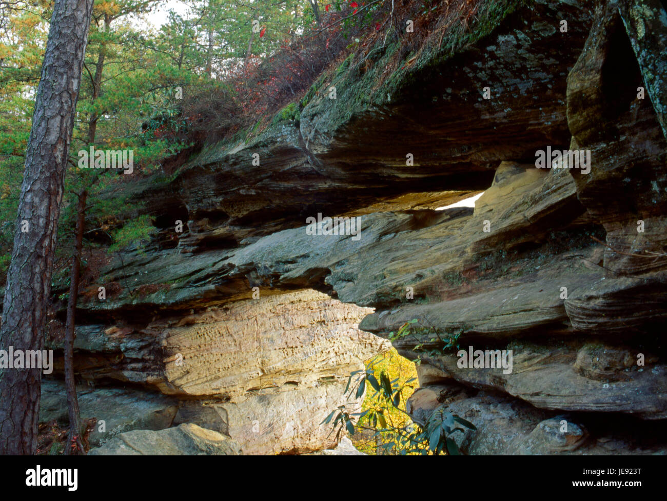 Double Arch, Red River Gorge Area, Daniel Boone National Forest ...