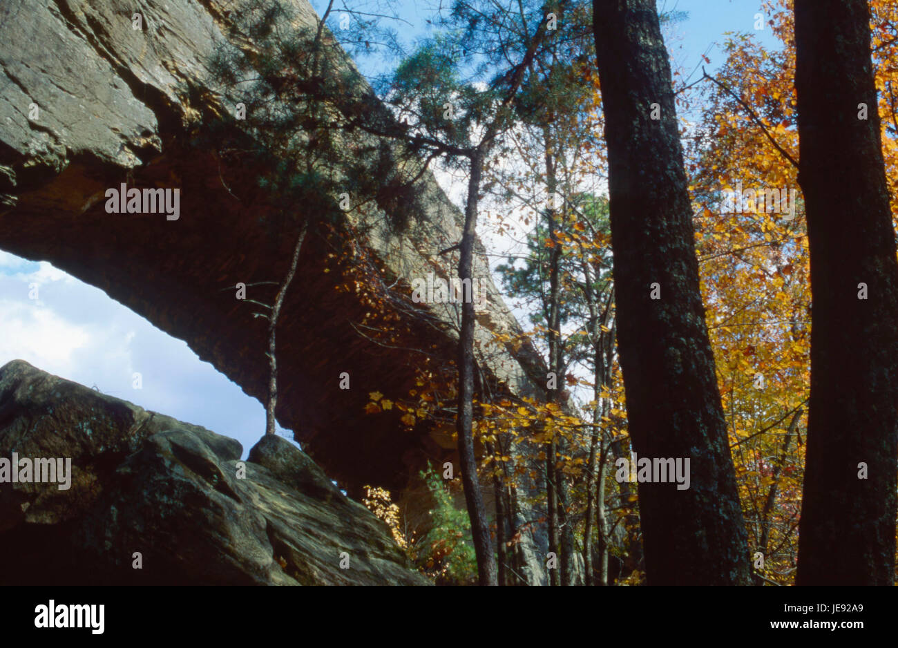 Natural Bridge, Red River Gorge Area, Daniel Boone National Forest ...