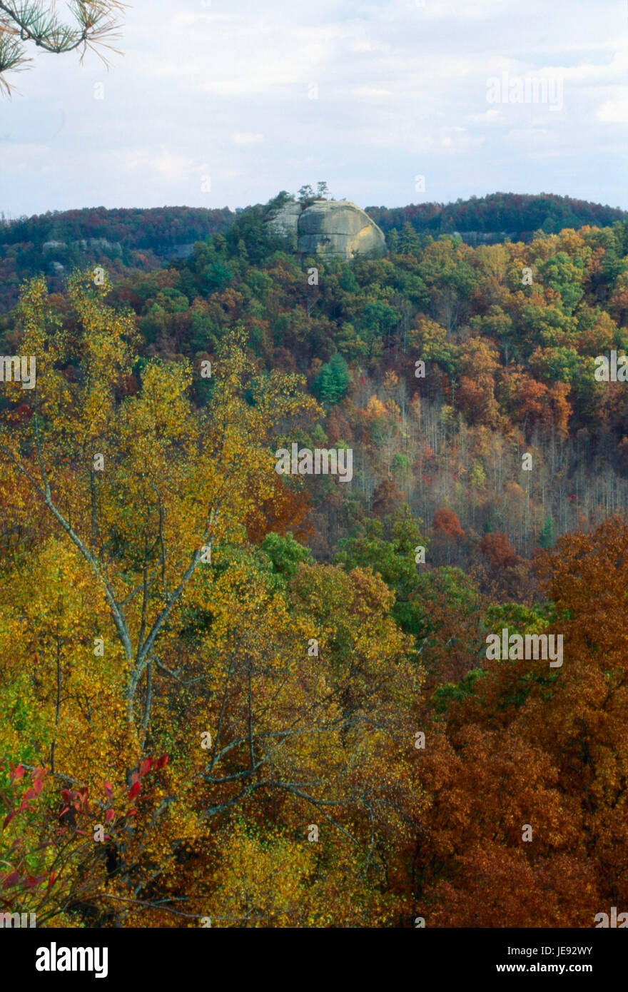 Red river gorge area hi-res stock photography and images - Alamy