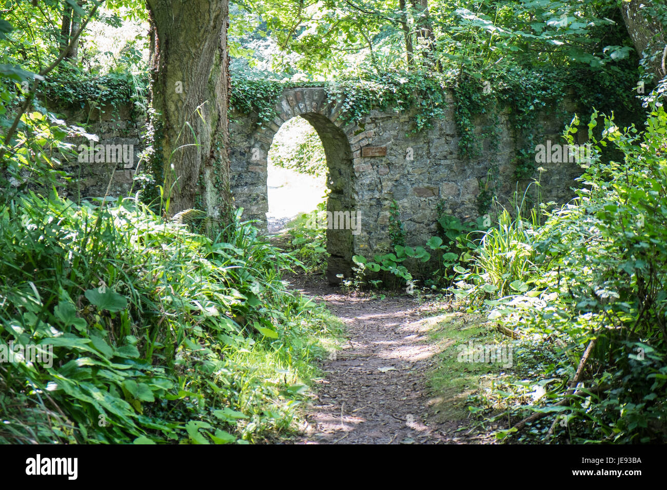 Old Priory,church,Caldey,Caldy,Island,Caldey Island,monastic,monastery ...