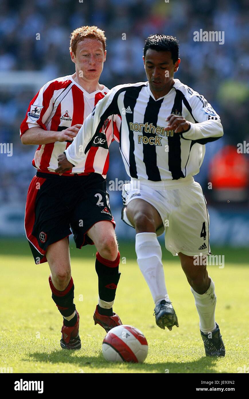 NOLBERTO SOLANO STEPHEN QUINN SHEFFIELD UTD V NEWCASTLE UTD BRAMALL ...