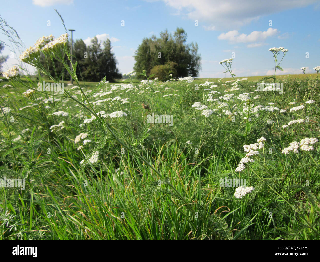 'Roter Bruch' in Walldorf refers to a geological formation ...