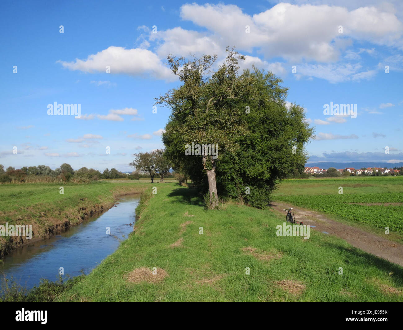 Schwetzinger Wiesen, located in Germany, is a region known for its rich ...