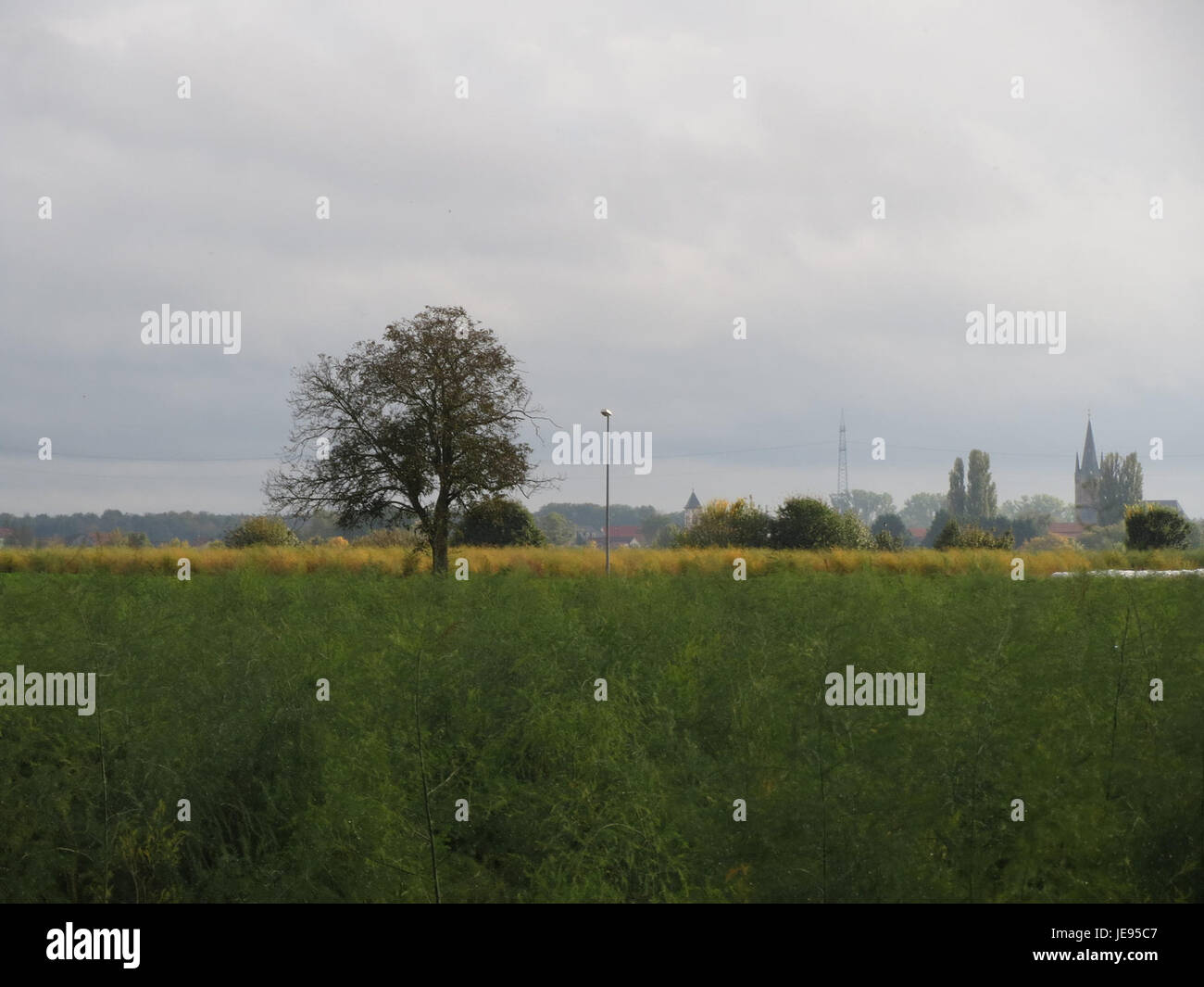 A photograph of Reilingen, a town in Germany, captured on October 15 ...