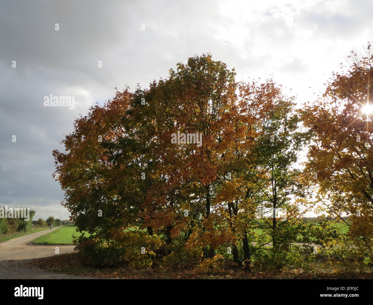Reilingen hi-res stock photography and images - Alamy