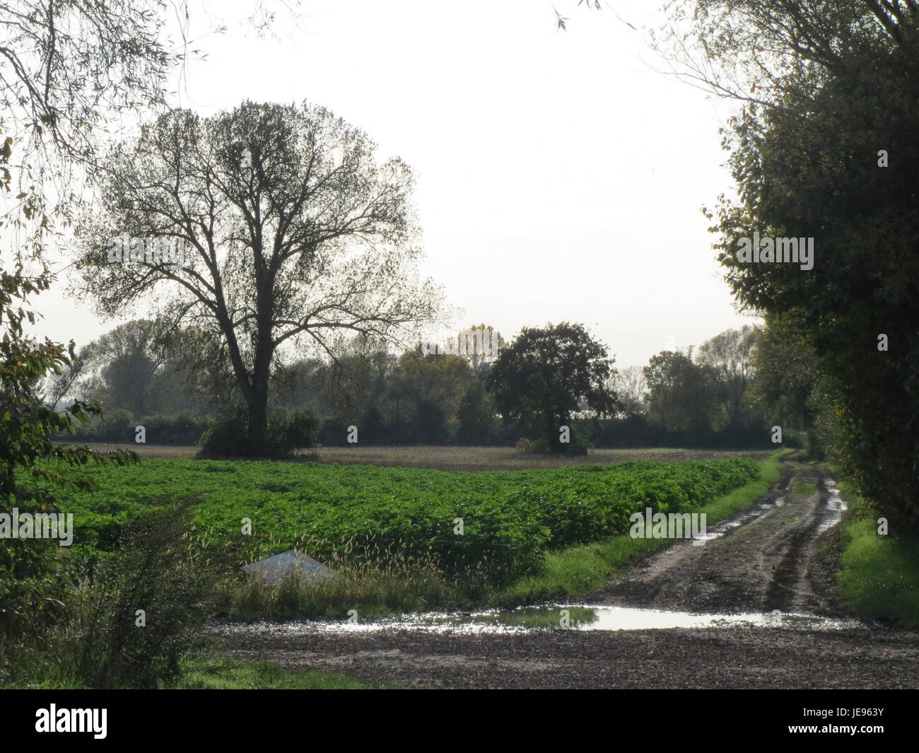 A photograph of Karl-Ludwig-See, a lake located in the region of ...