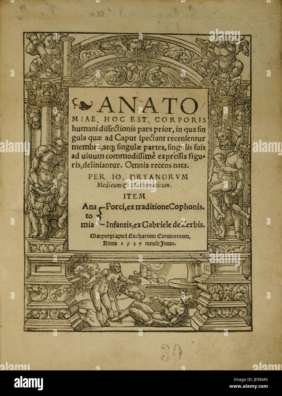'Anatomiae Pars Prior' by Dryander is a historical anatomical text ...