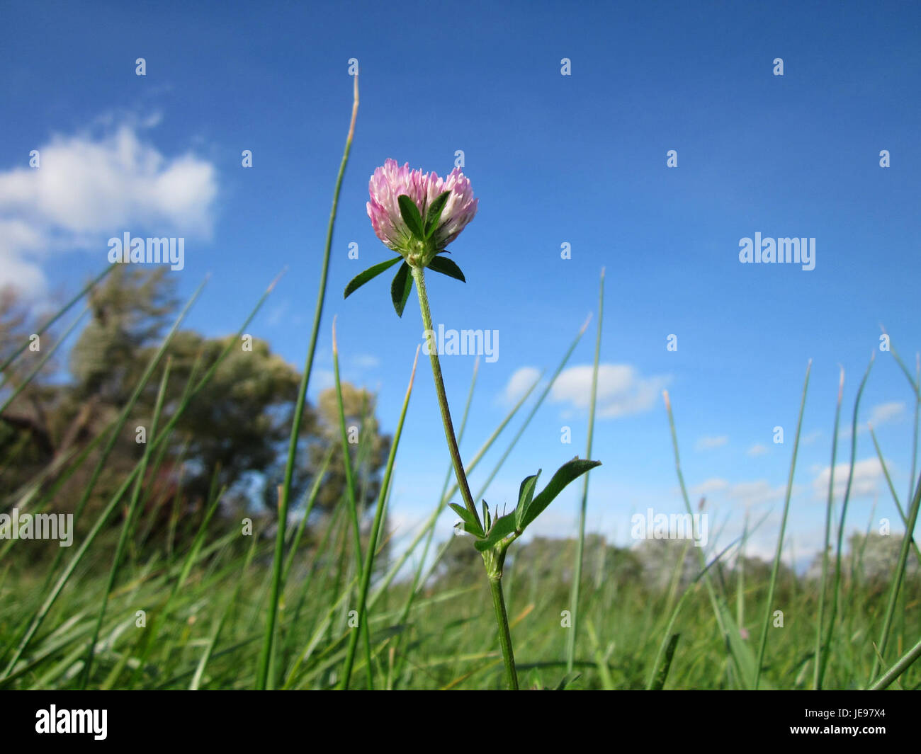 Photographed october 5 hi-res stock photography and images - Alamy