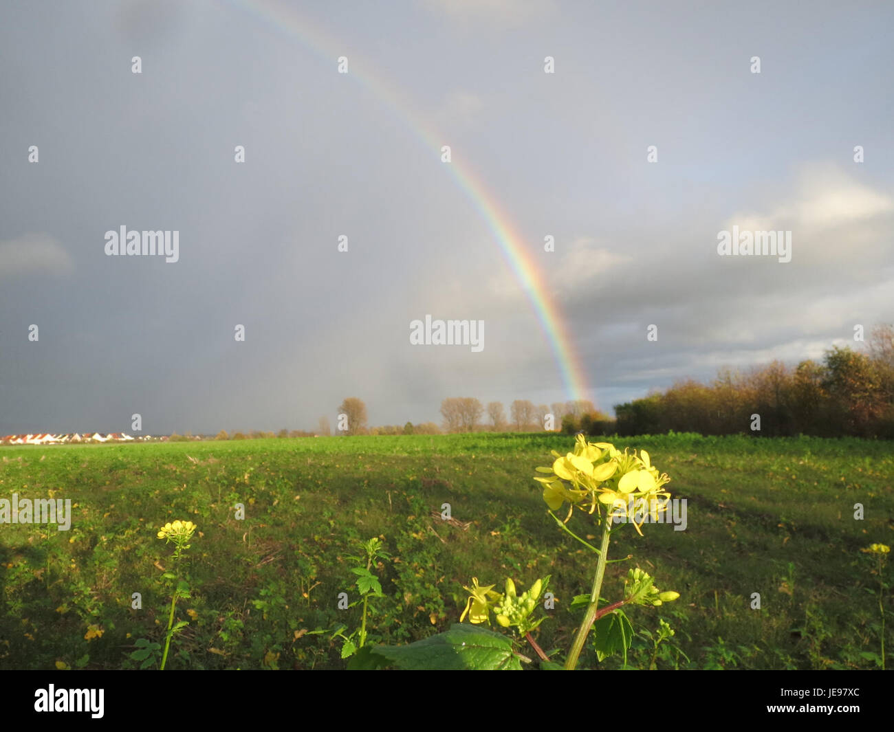 This image from November 7, 2013, shows a rainbow over Reilingen ...