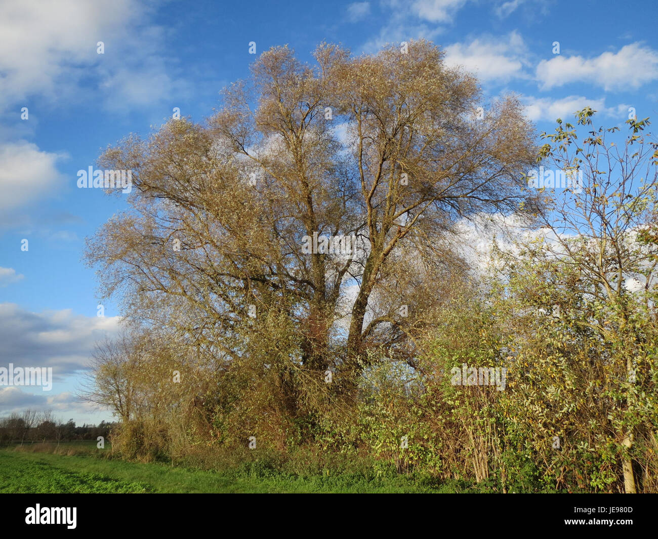 Along side water bodies hi-res stock photography and images - Alamy
