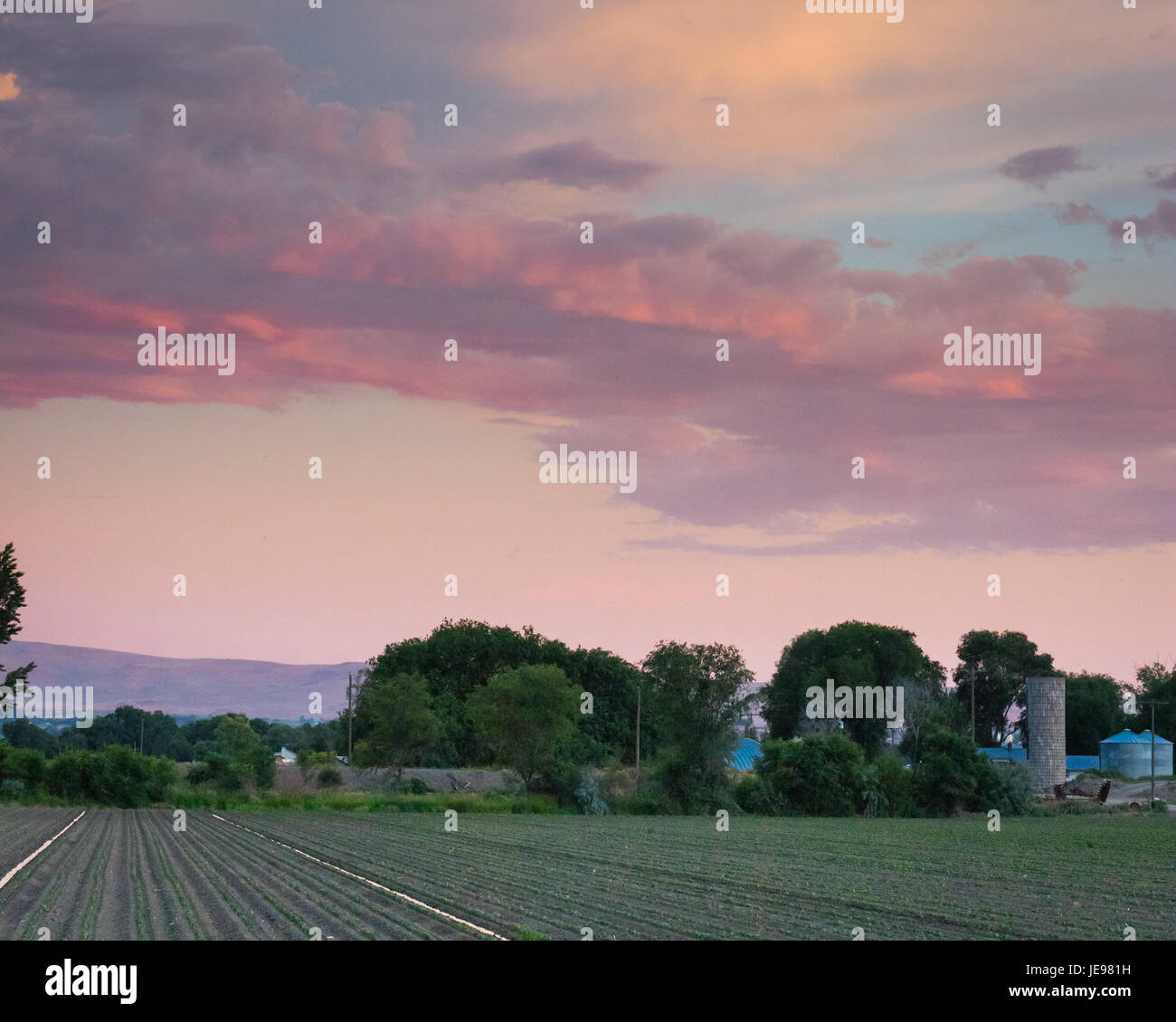 Westerly sun hi-res stock photography and images - Alamy