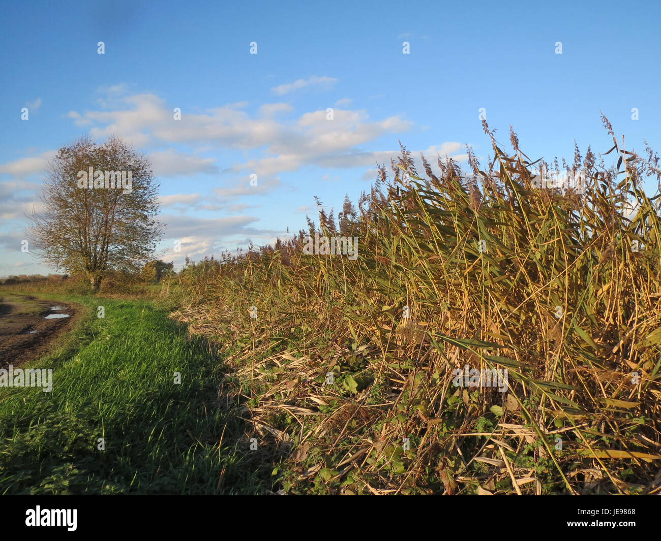 A photo of Karl-Ludwig-See, a picturesque lake located in Germany ...
