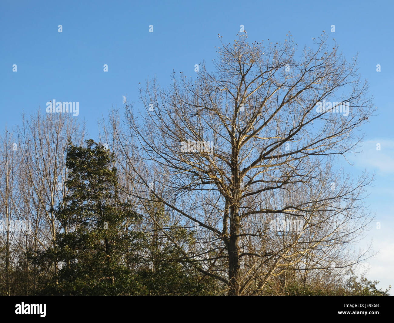 Karl-Ludwig-See is a lake located in Germany, known for its scenic ...