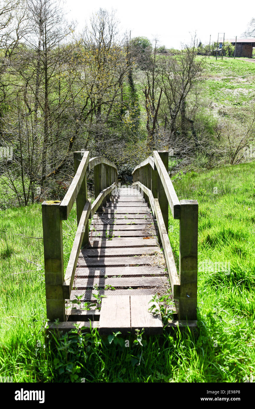 Bridge or boardwalk at Swettenham Meadows nature reserve run by ...