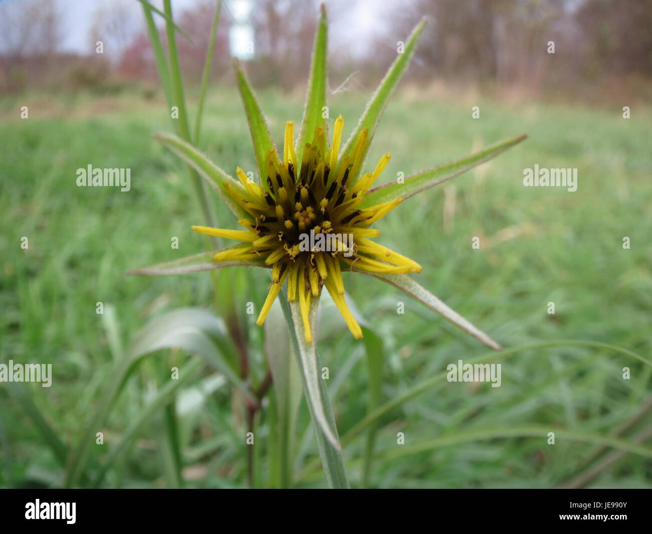 Traditional german recipes hi-res stock photography and images - Alamy