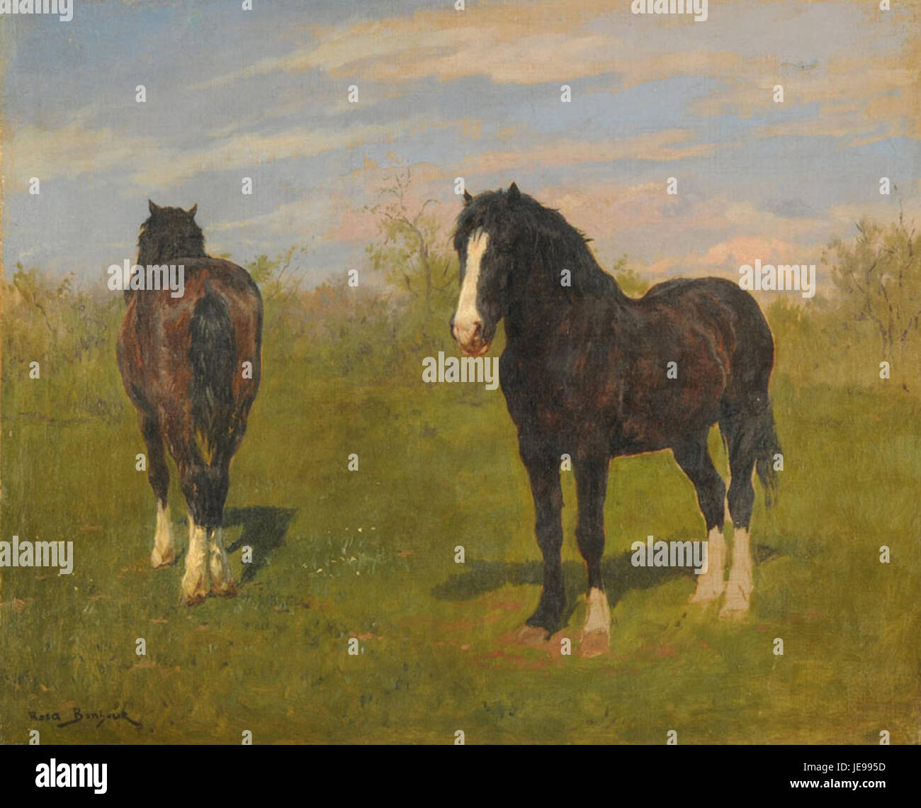 Caballos pastando hi-res stock photography and images - Alamy