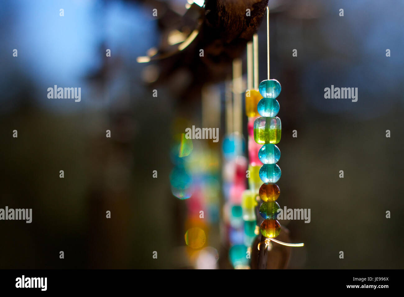 Beady Day refers to a particular event or occasion, often associated ...