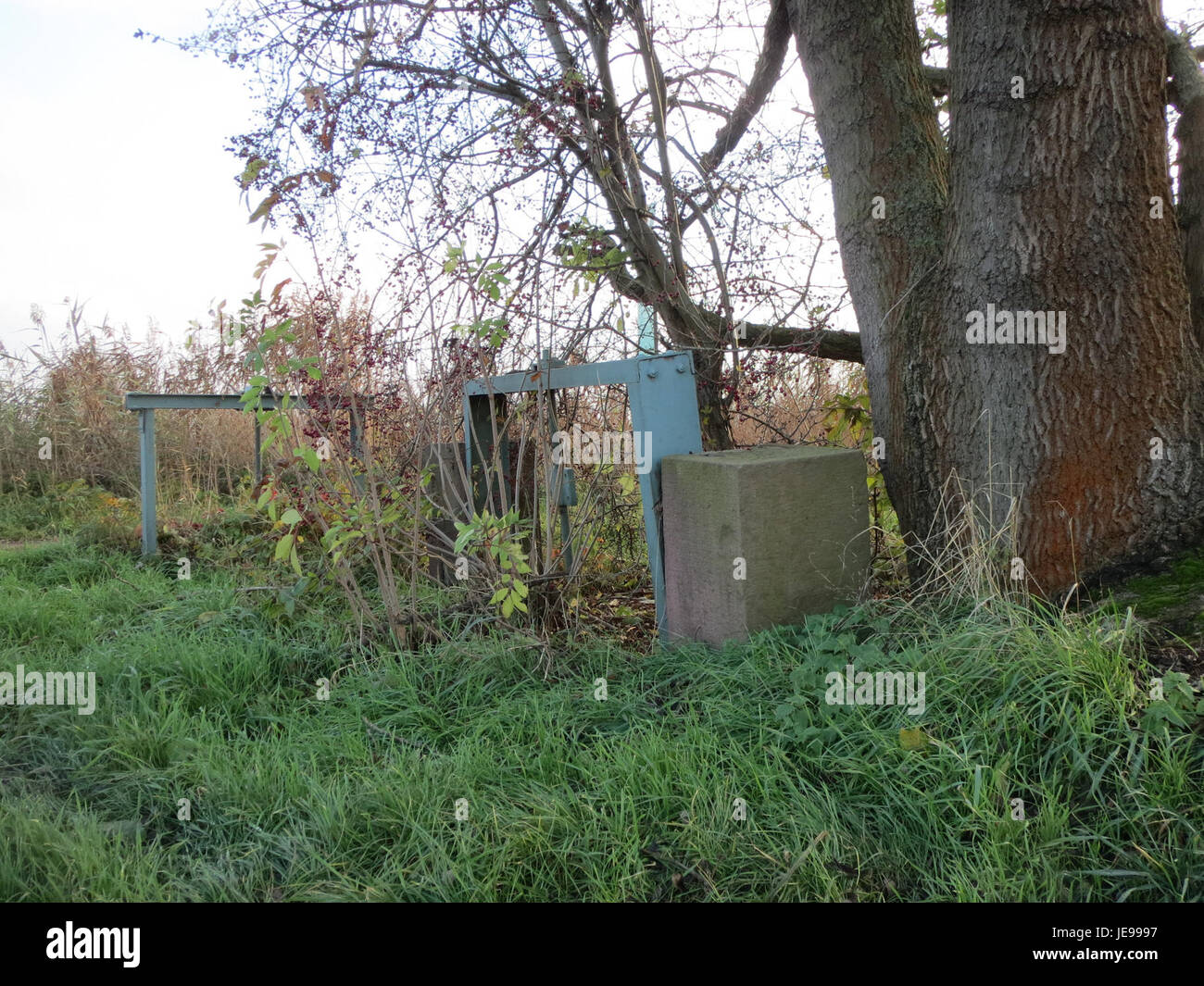 The Stauwehr, a type of weir, is located along a river, playing an ...
