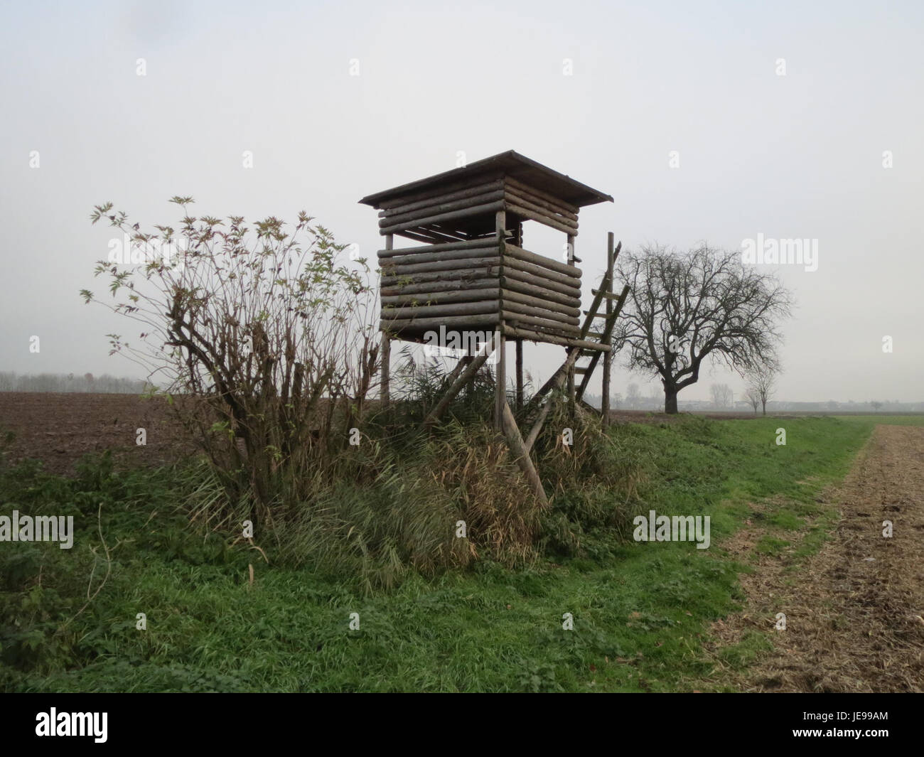 A photograph of Reilingen, Germany, taken on December 3, 2013 ...