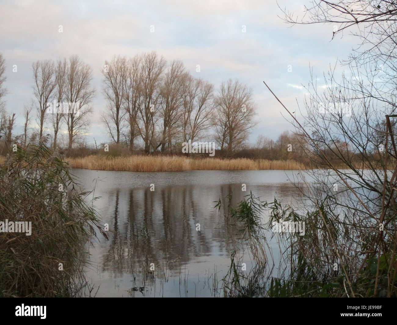 This image showcases Reilinger See, a lake located in the Reilingen ...