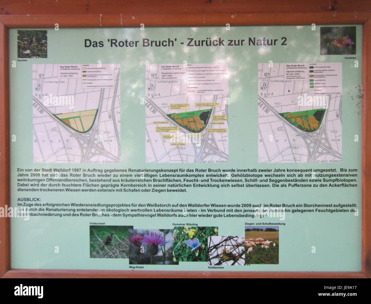 A photograph of the Roter Bruch, a natural area in Walldorf, Germany ...