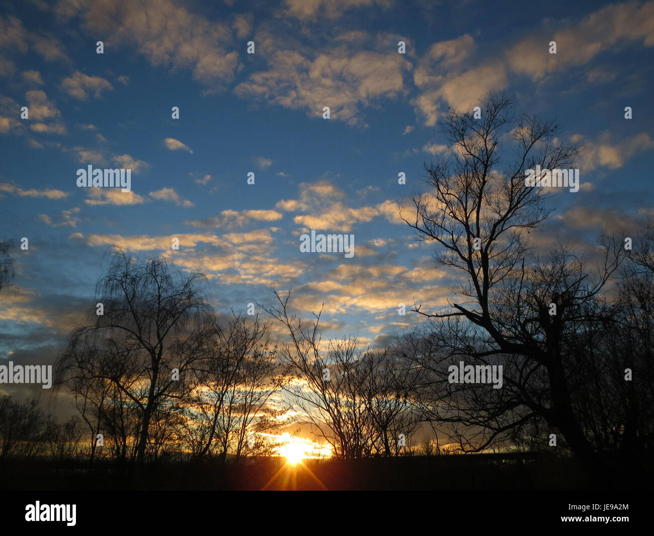 A breathtaking sunset in Hockenheim, Germany, captures the vibrant ...