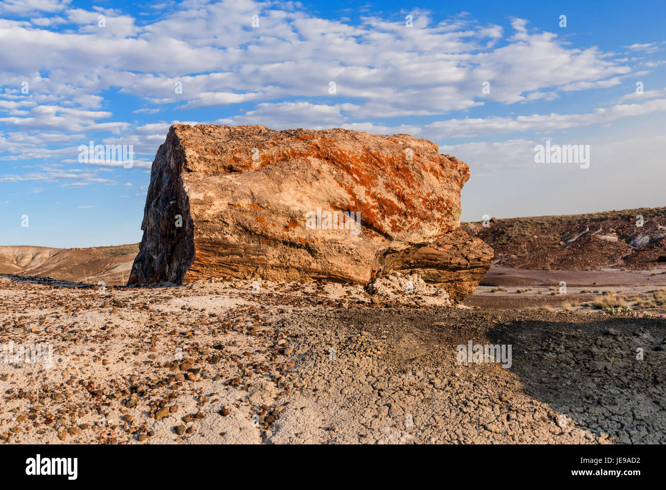 Crystal forest, Petrified Forest National Park, Arizona, USA Stock ...