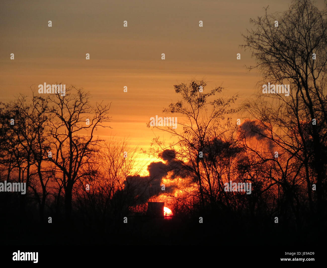 This image captures a scenic view of Hockenheim, Germany, highlighting ...