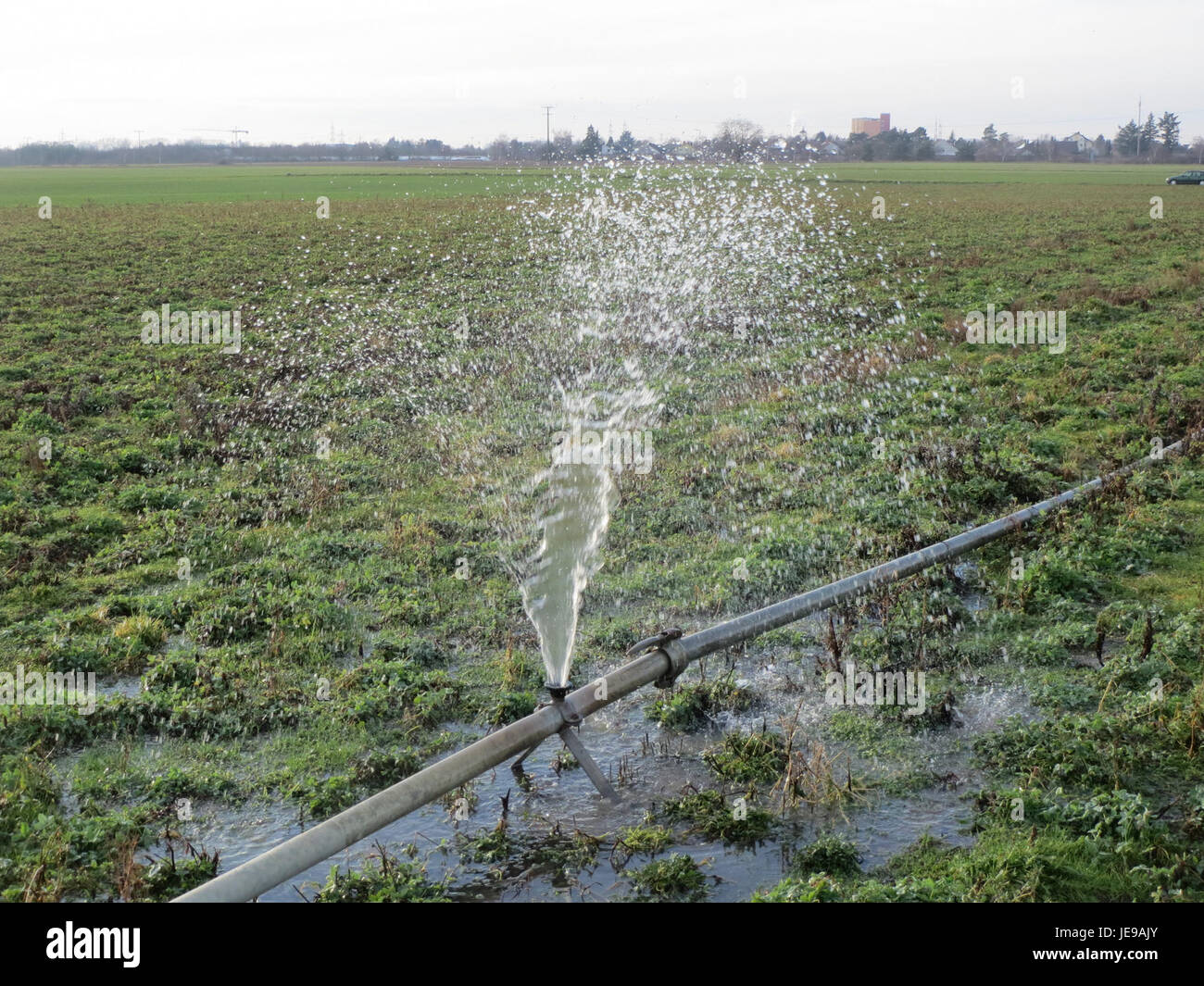 An image showing the irrigation system at Altlussheim, Germany ...