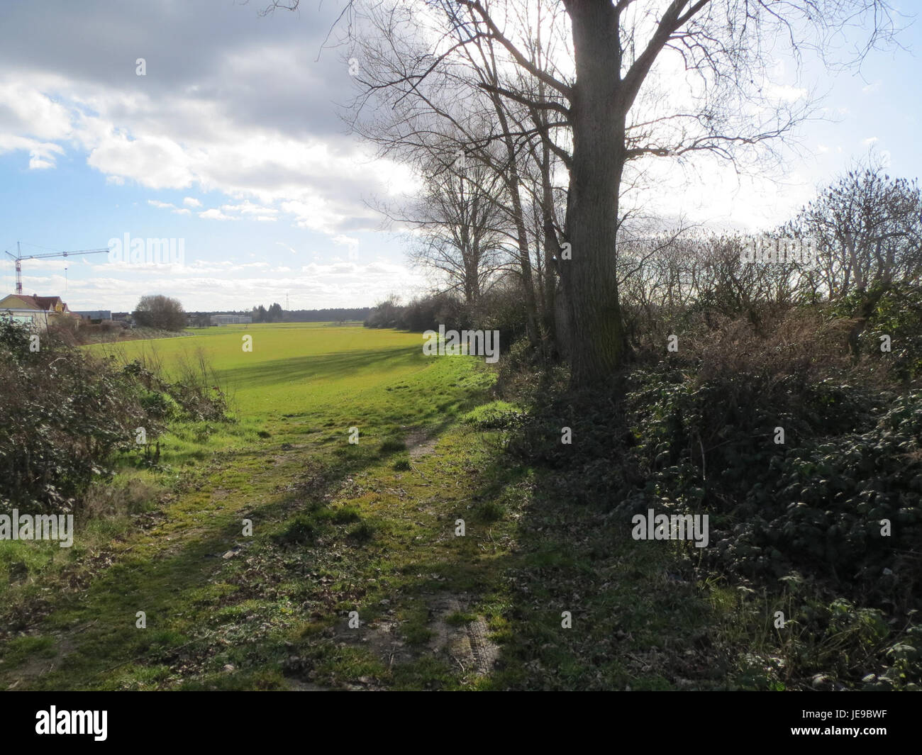 Reilingen hi-res stock photography and images - Alamy