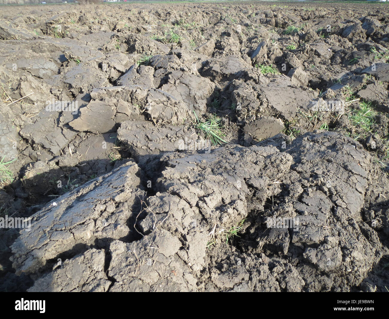 This image, taken on February 12, 2014, shows a field in Reilingen ...