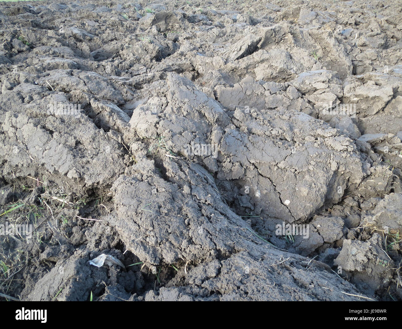 The photograph, taken on February 12, 2014, depicts the fields of ...