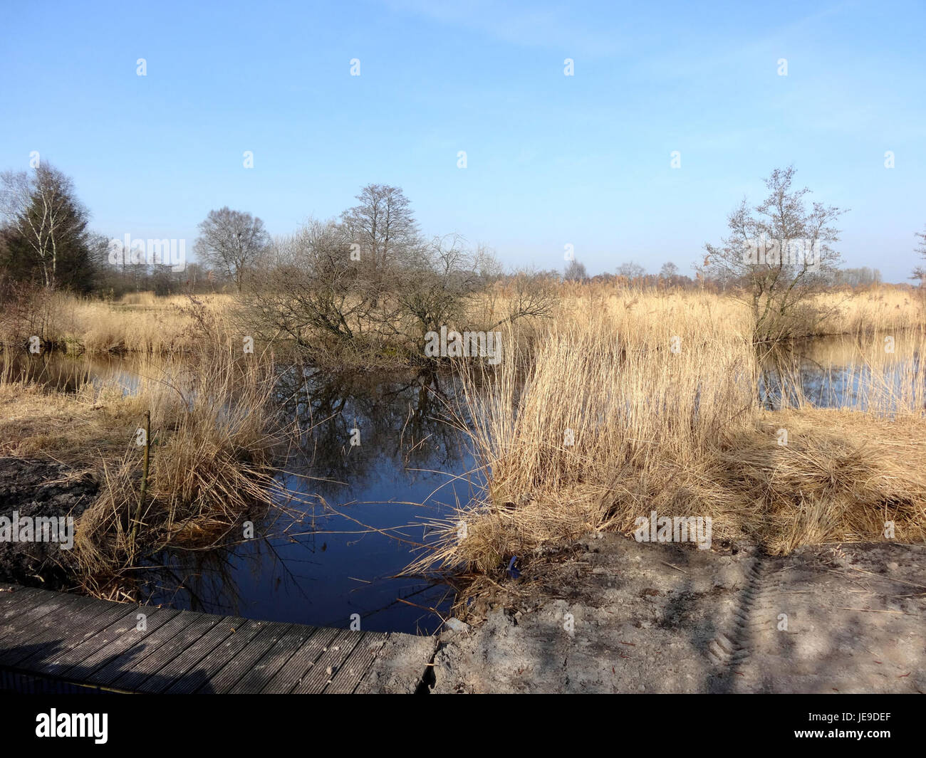 De Flodder is a 1986 Dutch comedy film directed by Pieter Verhoeff. It ...