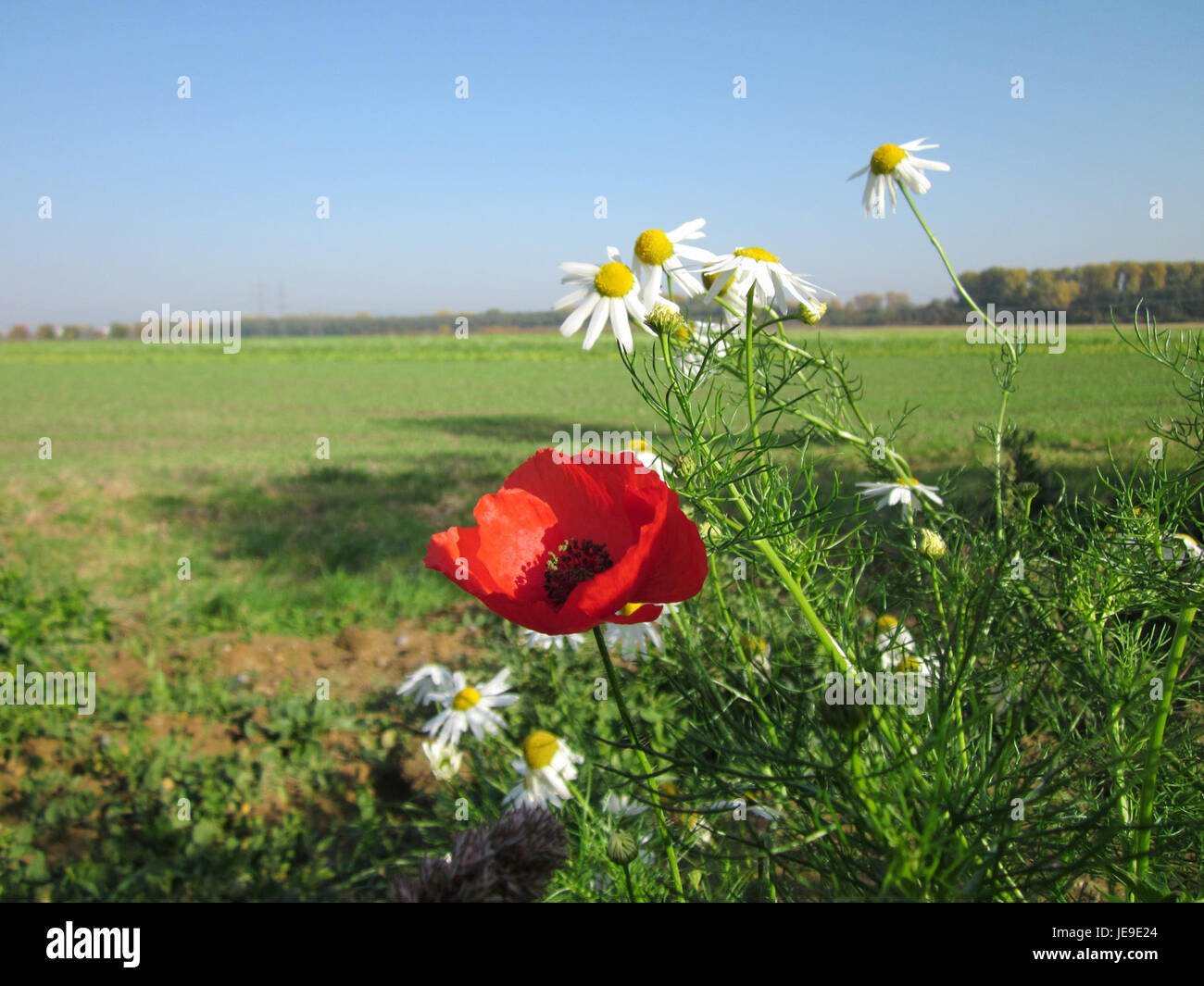 The Hockenheimer Rheinbogen is a curve in the Rhine River near the city ...
