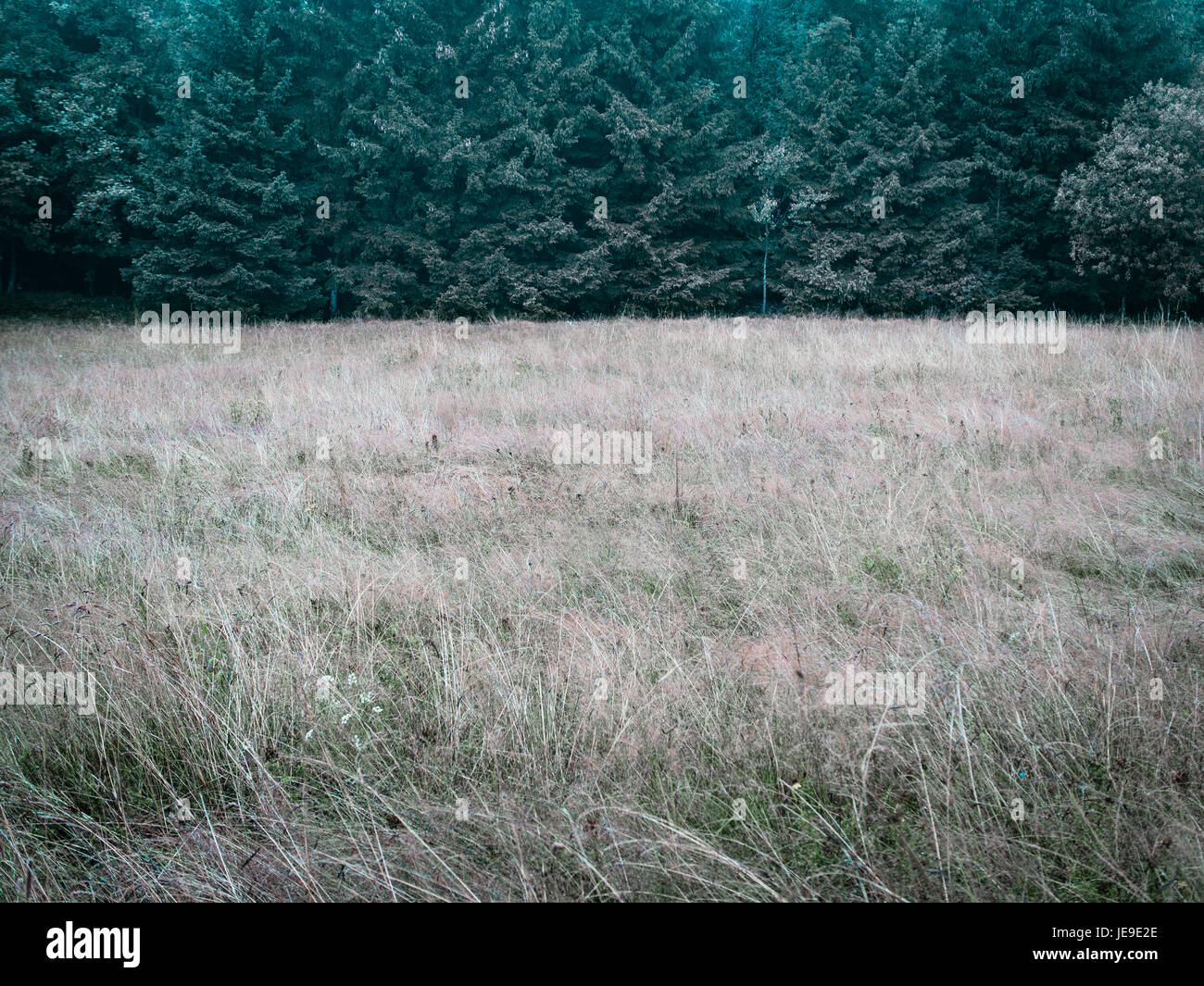 Simple Nature Background