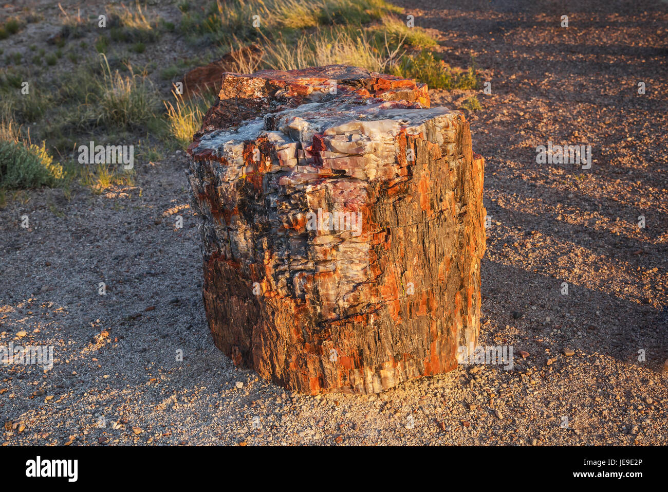Petrified forest national park arizona hi-res stock photography and ...