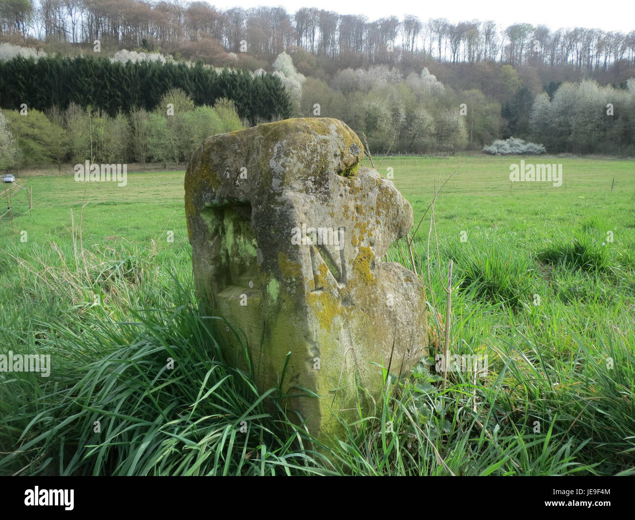 This image shows a historical boundary stone (Grenzstein) located in ...