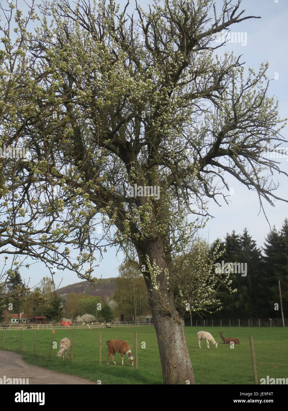 Almet hi-res stock photography and images - Alamy