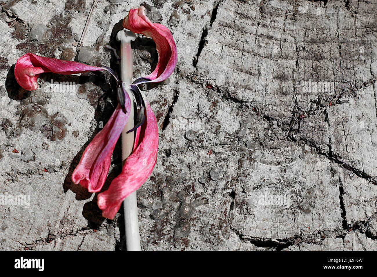 Bashful posture hi-res stock photography and images - Alamy