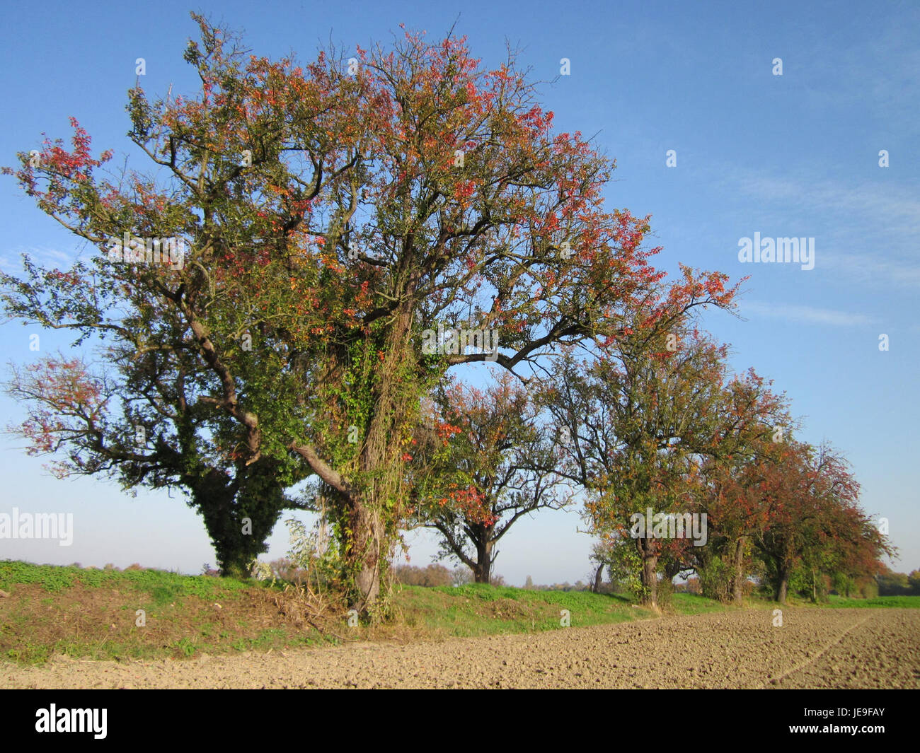 Alte Landstrasse is a historic road in Germany, known for its scenic ...