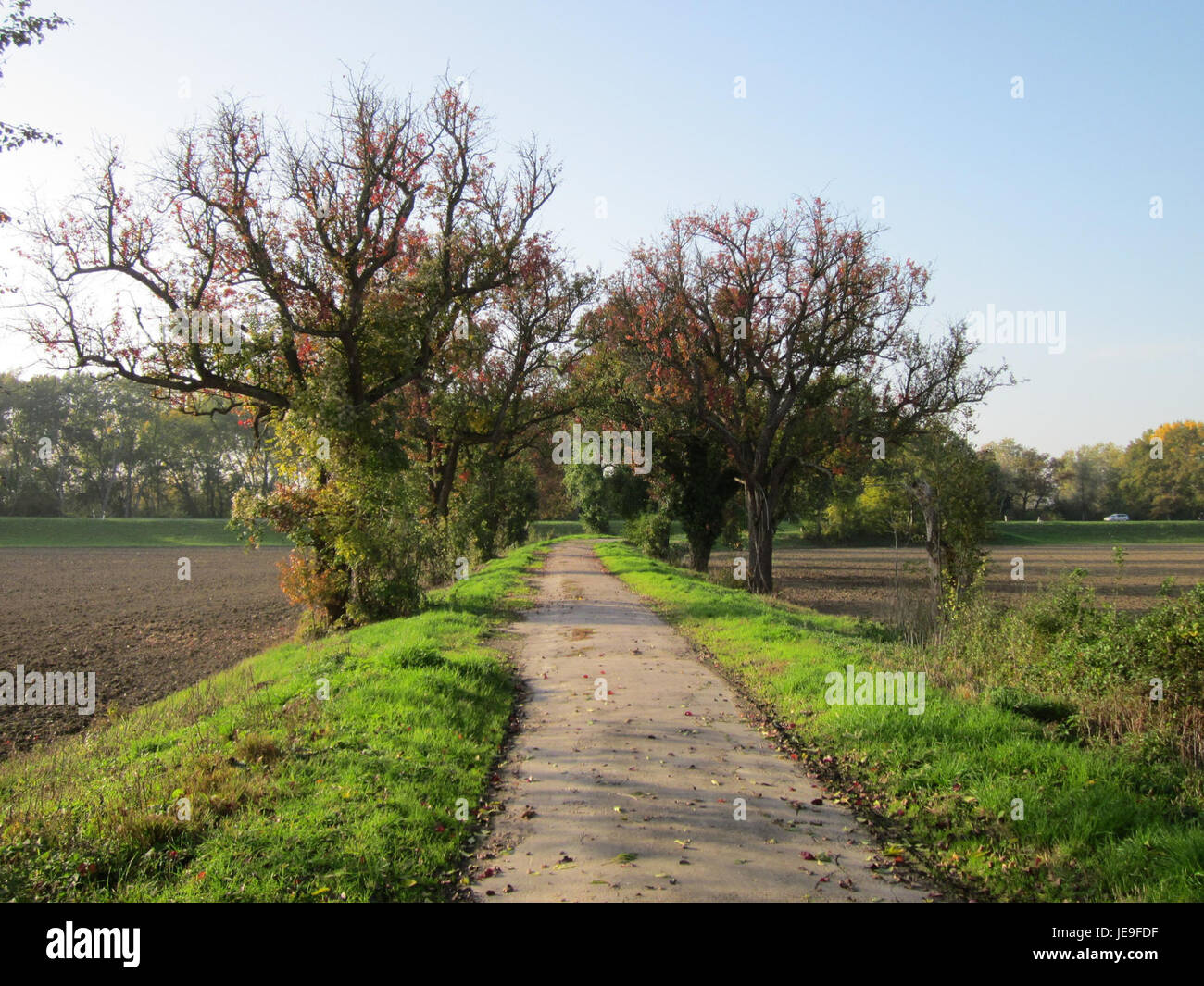 Alte Landstrasse is a historic road located in Germany, known for its ...