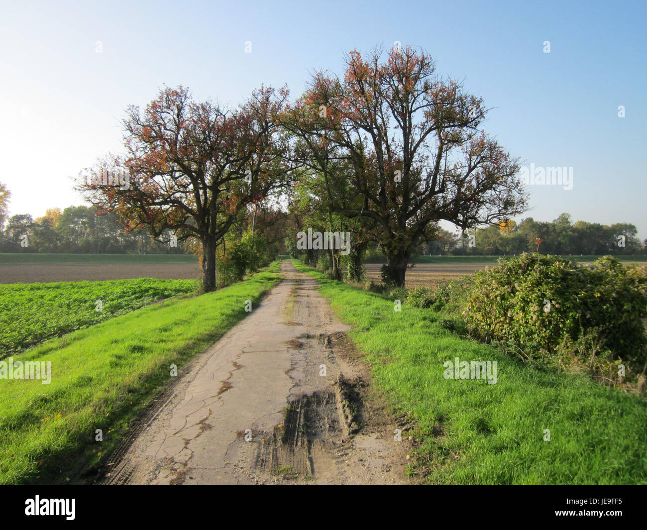 Photograph taken on October 21, 2012, showcasing the Alte Landstraße, a ...