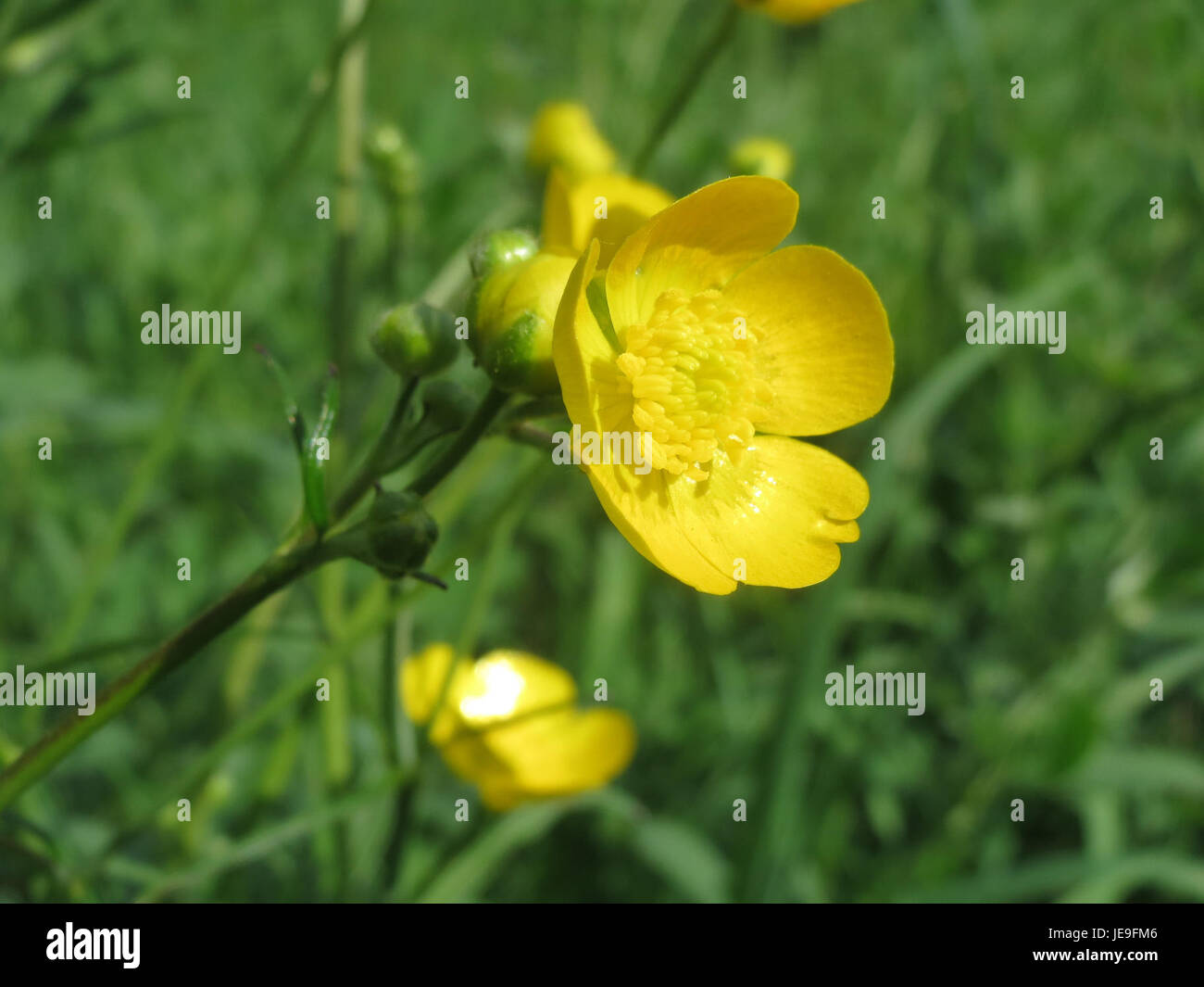 Image shows local distribution hi-res stock photography and images - Alamy